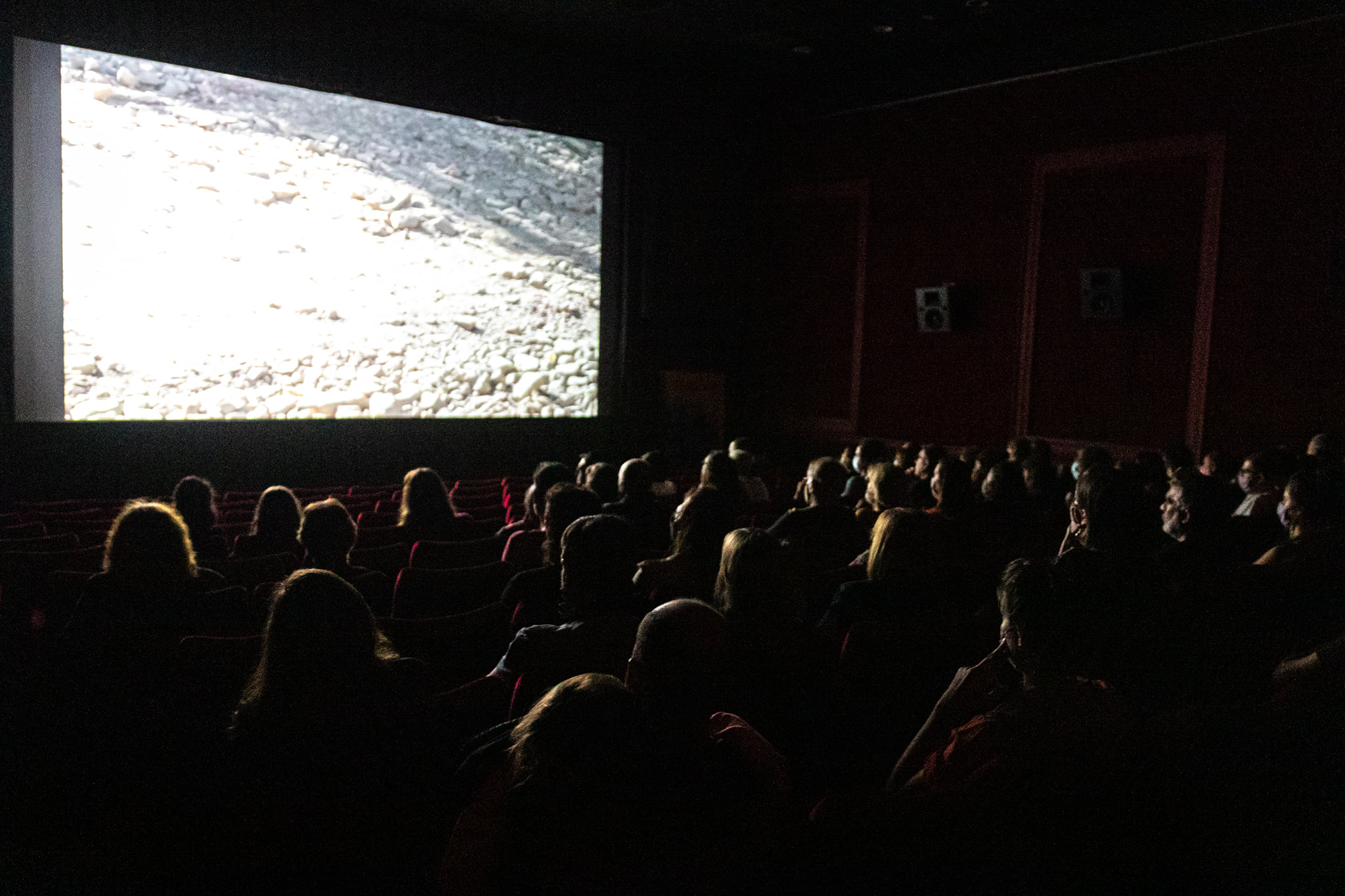 Nueva semana de cine en La Plata: drama, suspenso, clásicos y funciones ...